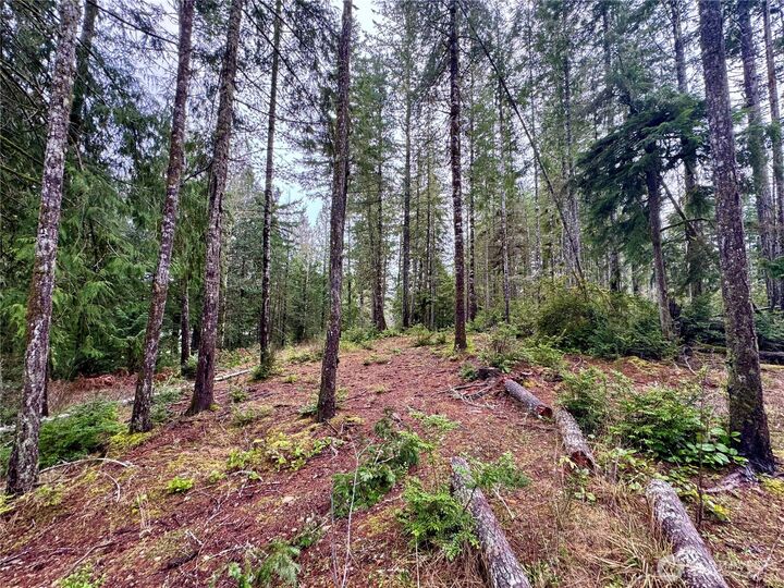 Home for sale in Seabeck: 18349 NW Stavis Bay Road, Seabeck, WA 98380