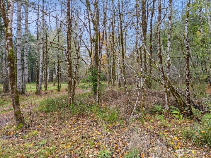 MLS#2543198: 6191 E Pickering Road, Shelton, WA 98584
